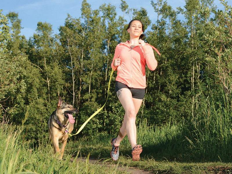 Canine Cardio | IMPACT Magazine